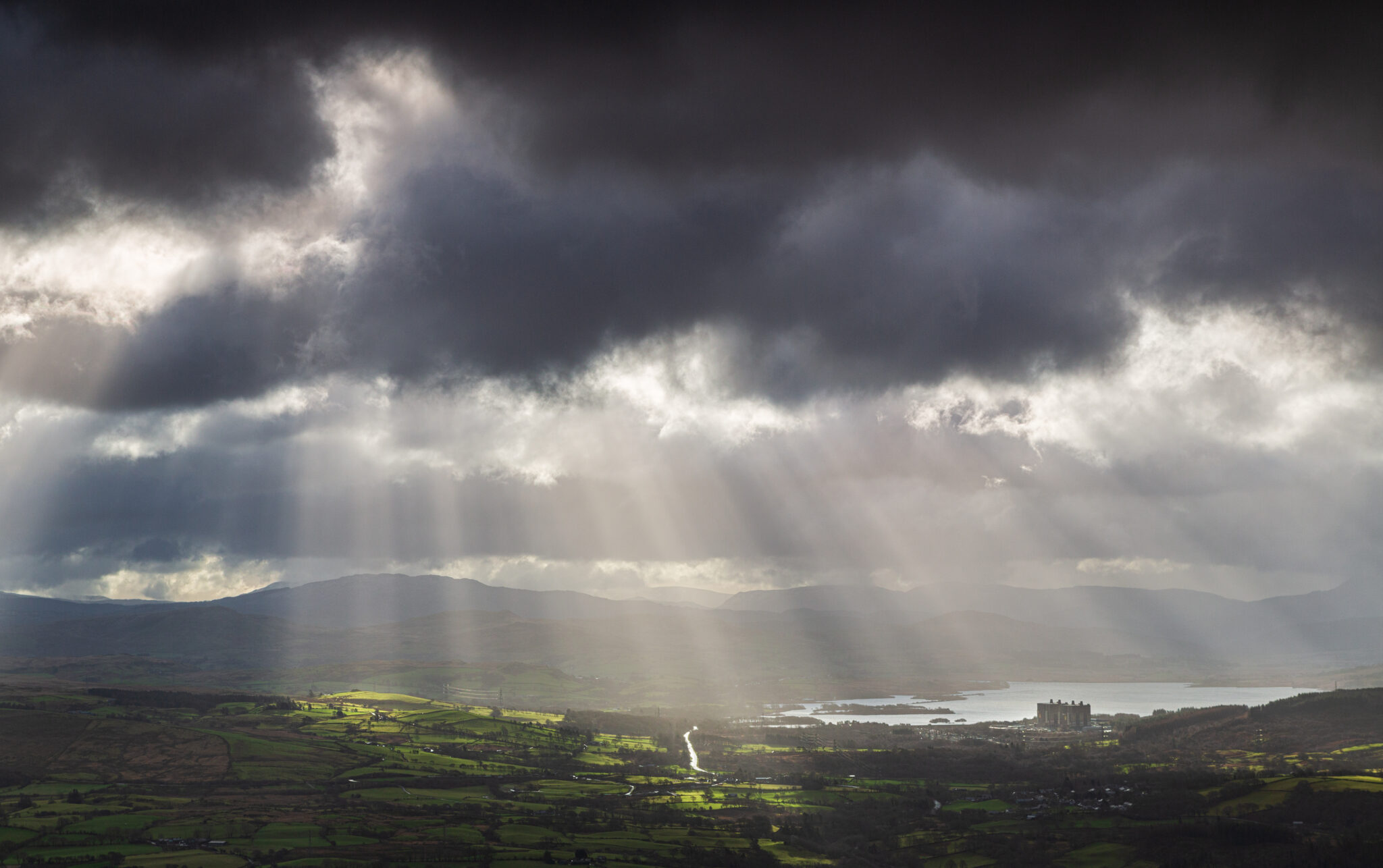 The Opportunity - Cwmni Egino